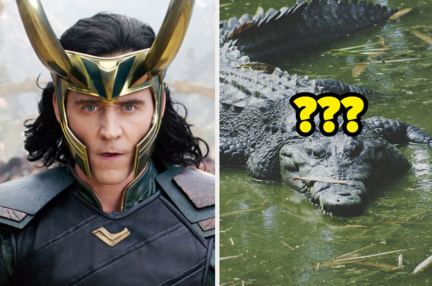 Những điều thú vị có thể bạn chưa biết về Loki phiên bản "cá sấu"
