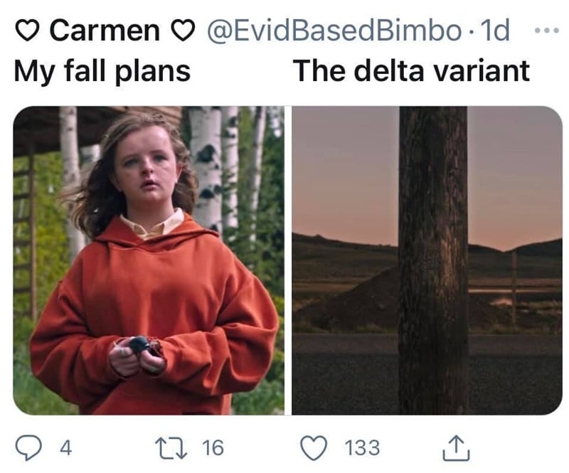 Meme Kế hoạch mùa thu vs Biến thể Delta - 1 meme bỗng nhiên nổi tiếng ...
