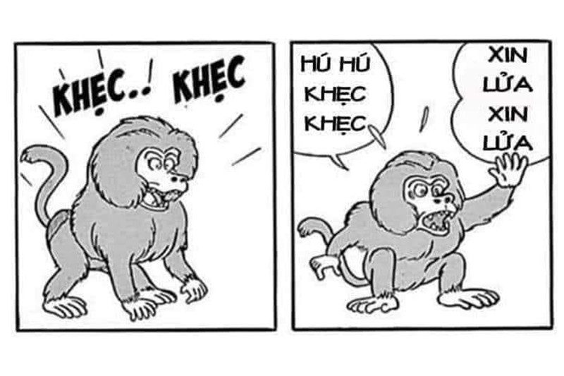 Meme xin lửa là gì mà được cư dân mạng tìm kiếm rất nhiều trong thời ...