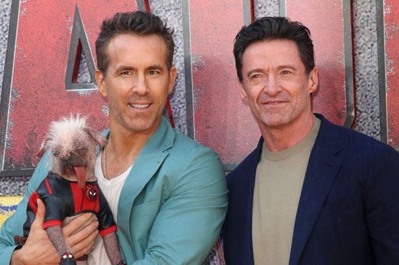 Ryan Reynolds Tuyên Bố Dogpool 10 Điểm Không Có Nhưng Trong Lòng Đoàn ...